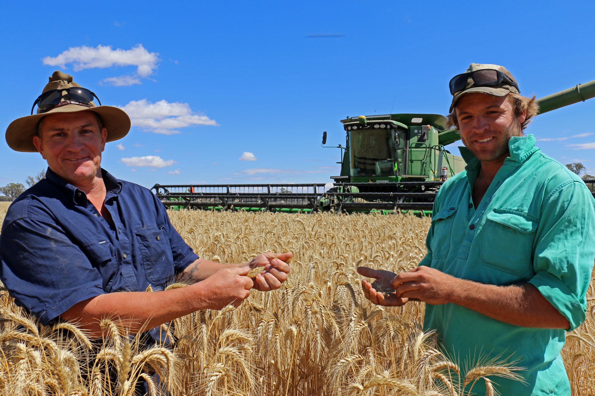 Triticale Crop Pushes Yield on Minimal Inputs - Best Farming Systems