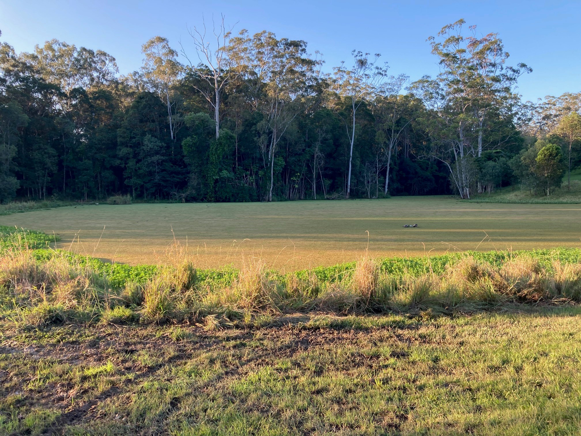 BEST Dam Buster - Best Farming Systems